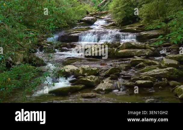 Clear flowing water cascading over boulders in lush summer forest ...