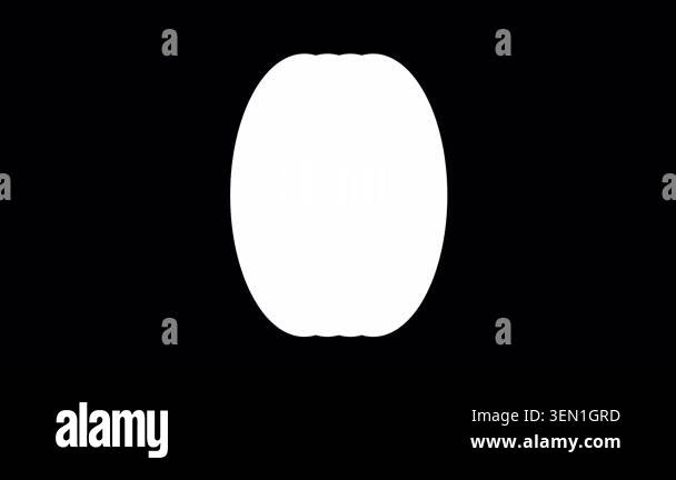 4 Oval shapes Film Matte Overlay Animation. Ellipse elements Film Frame ...