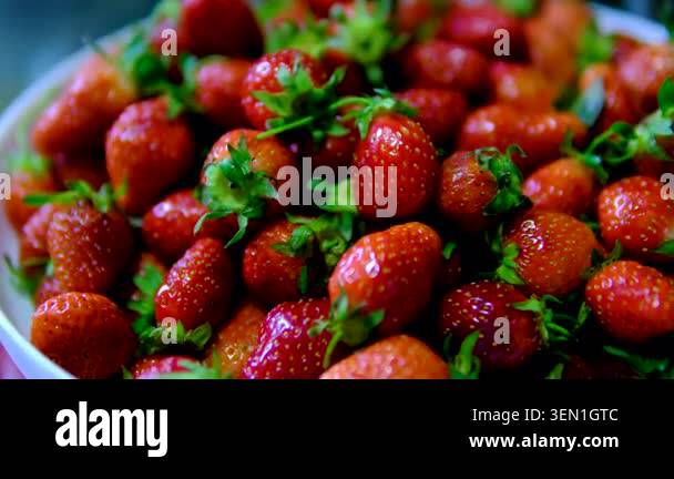 A white plate overflowing with small ripe strawberries and green stems ...