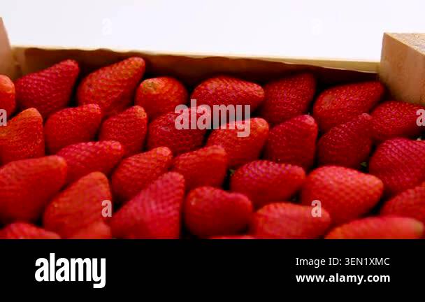 Selected oversized strawberries filling wooden container on elegant ...