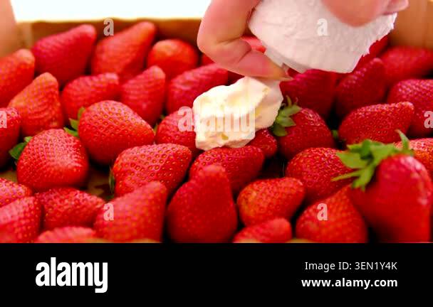 Fresh cream slowly pours over large ripe strawberries in a crate ...