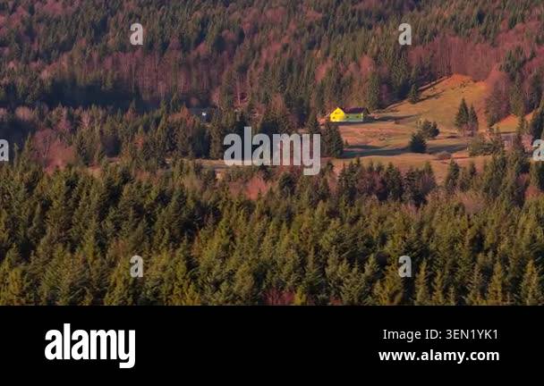 Aerial drone view of a forest clearing with a single house and ...