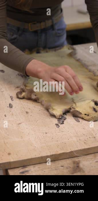 Female hands smoothing pelt stretched on wooden table. High quality 4k ...