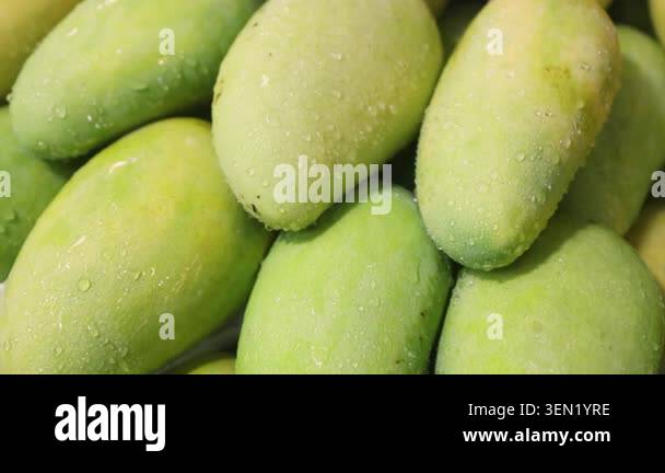Fresh ripe mangoes on market display with natural tropical fruit ...