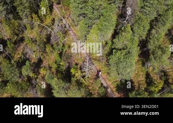 Aerial drone view of pwoplw walking on a wooden walkway cutting through ...