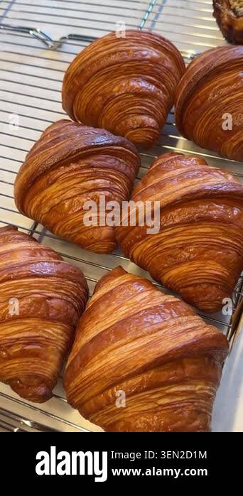 Six golden and fluffy croissants rest on a metal rack showcasing their ...