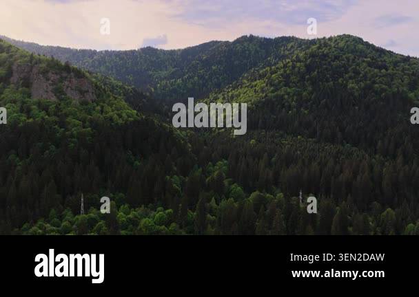 Aerial drone view of forested Carpathian slopes with two rounded ...