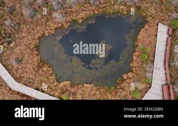 Overhead aerial view of a dark peat pool and boardwalk in an open bog ...