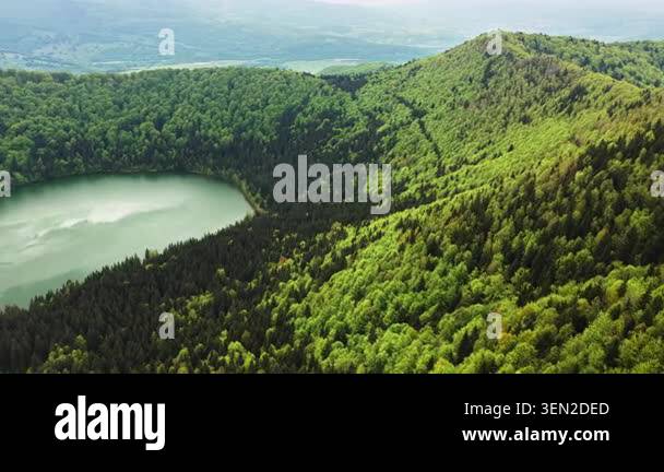 Aerial drone view at low altitude of a lakeside meadow with timber logs ...