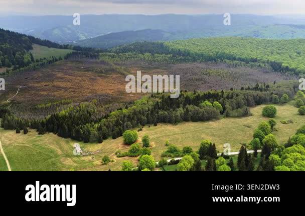 High-altitude aerial view of rolling Carpathian hills with a clearing ...