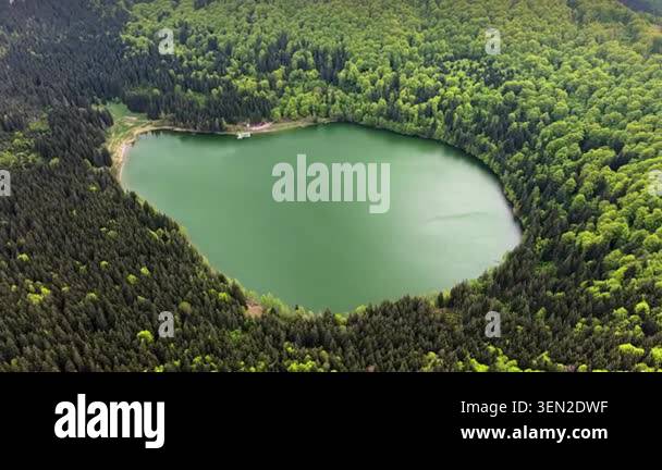 Aerial drone view over a forested slope toward a round crater lake ...