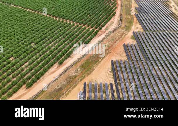 Aerial view of a solar farm with photovoltaic panels next to a large ...