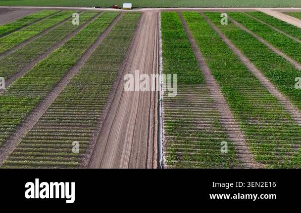 Aerial view of a large agricultural field divided into multiple trial ...