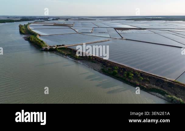 Stunning panoramic view of flooded rice paddies in Isla Minima, next to ...