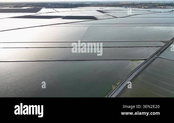 Stunning aerial footage revealing the vast expanse of flooded rice ...