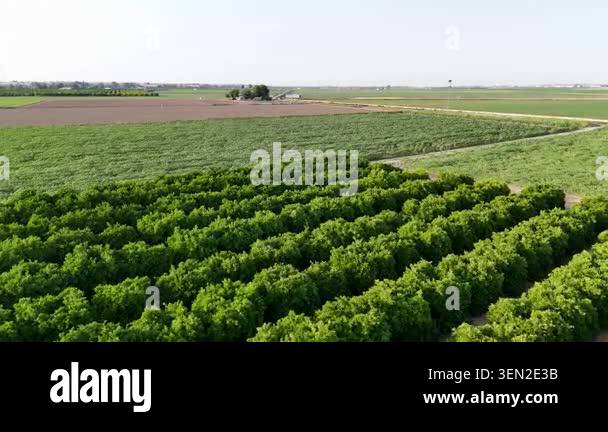 Beautiful aerial view of various green agricultural fields and orchards ...