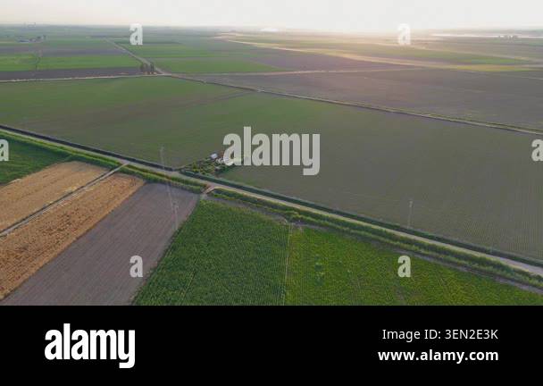 Expansive aerial view of vibrant green agricultural fields in the ...