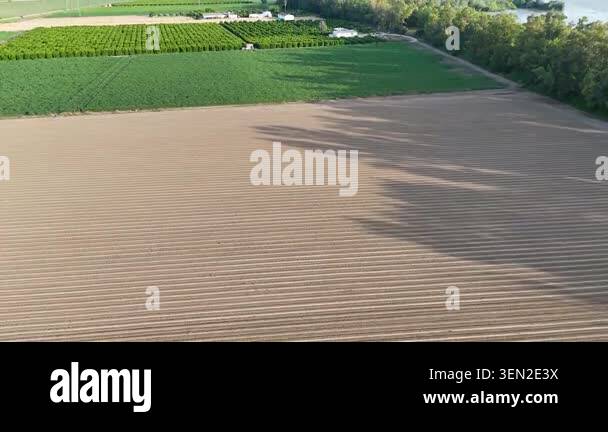 Beautiful aerial footage flying over green agricultural fields and a ...