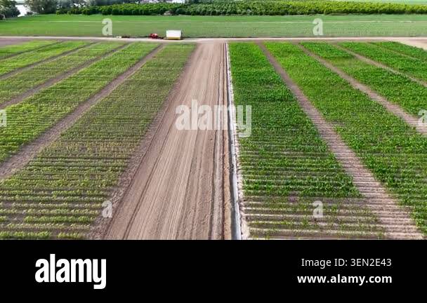 Aerial drone footage flying backward over various experimental crop ...