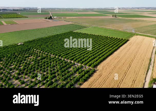 Expansive aerial view of a vibrant agricultural landscape featuring ...