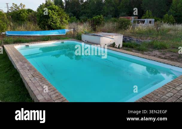 Overgrown garden featuring a dirty swimming pool with murky green water ...
