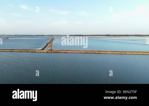 Aerial perspective of the flooded rice paddies near the Guadalquivir ...