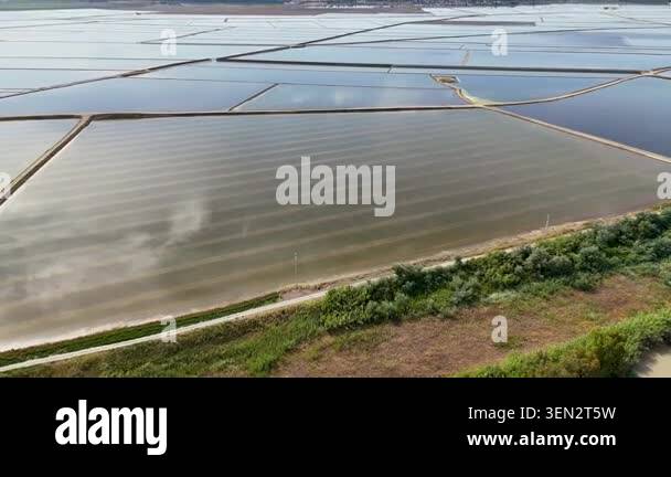 Aerial view of flooded rice paddy fields in La Puebla del Rio ...
