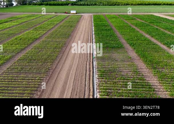 Aerial view of agricultural experimentation fields with different crops ...