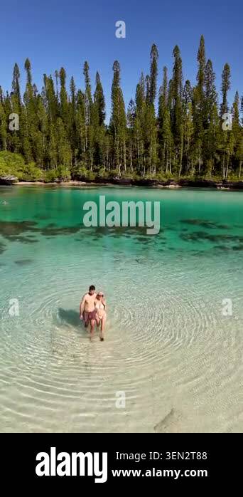 Couple wading turquoise lagoon in Isle of Pines, sunlit shallow sand ...