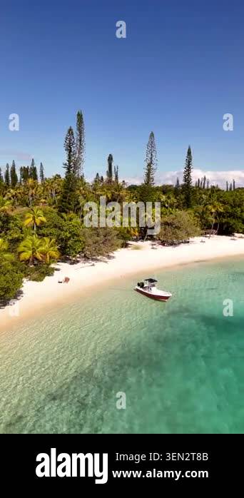 Turquoise lagoon beach with anchored boat, lush pine and palm fringe ...