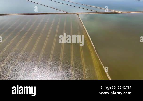 Aerial view of flooded rice fields in La Puebla del Rio, Seville. Sun ...