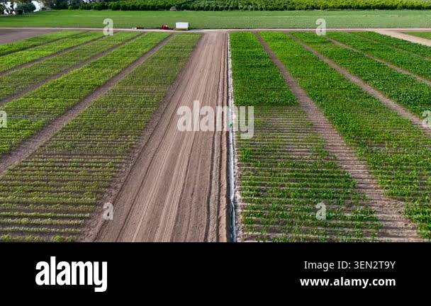Aerial footage of agricultural test fields with diverse crops growing ...