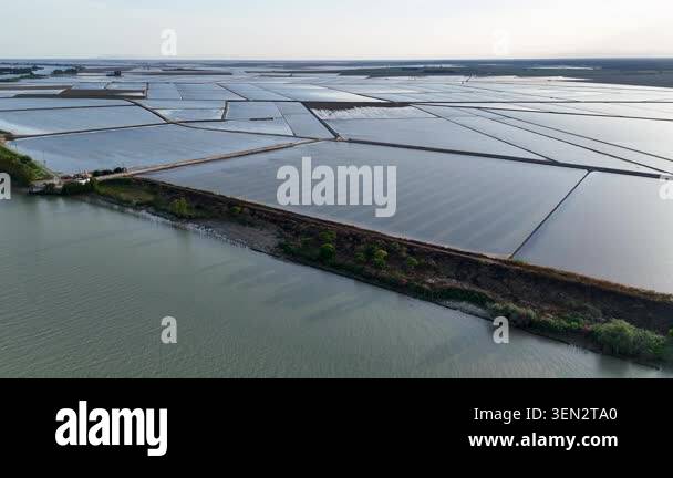 Beautiful aerial view of Isla Mayor rice fields flooded with water ...