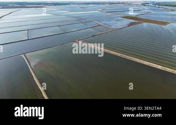 Immense extension of flooded rice fields in the marshes of the ...