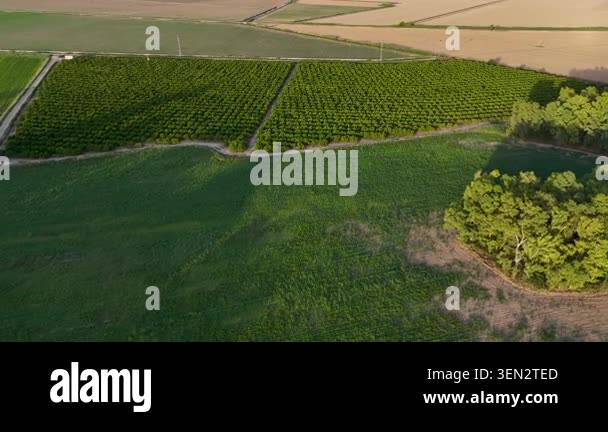 Drone tilting up, flying over agricultural fields revealing the vast ...