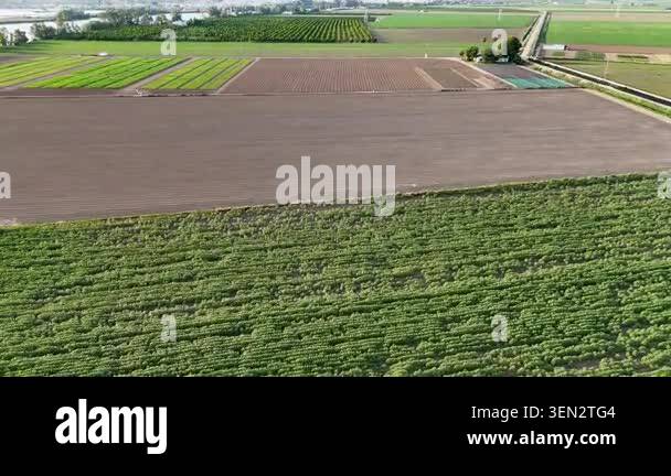Amazing aerial view of large agricultural fields in a rural area. Drone ...