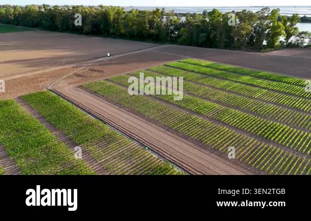 Aerial view of agricultural research fields with different crops ...