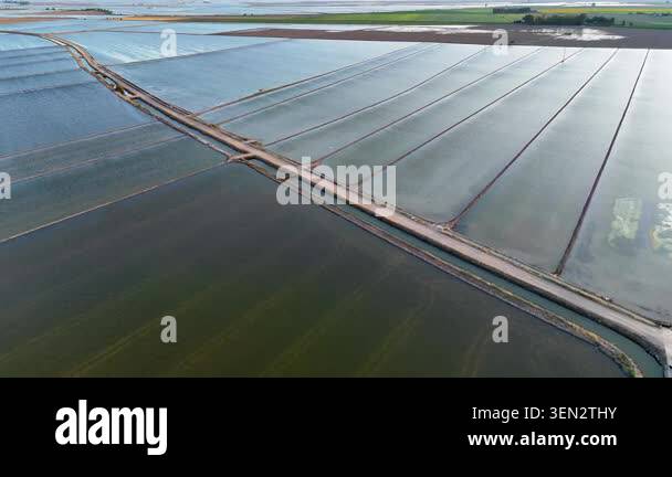 High aerial view flying over expansive flooded rice paddies reflecting ...