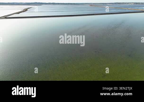 Calm water reflecting the sky in flooded rice paddies in Andalusia ...