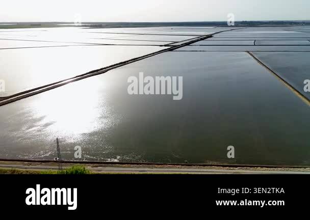 Aerial perspective of vast flooded rice paddies in Andalusia. The sun's ...