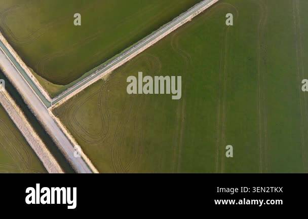 Drone perspective flying over vast flooded rice paddies. Beautiful ...