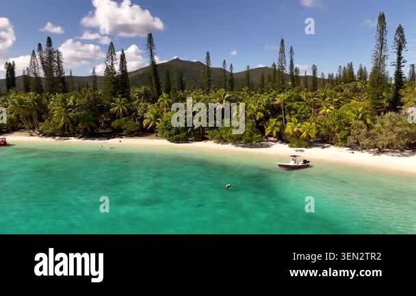 Turquoise lagoon beach with anchored boat, lush pine and palm fringe ...