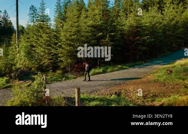 Person walking uphill on gravel trail beside dense forest in sunny ...
