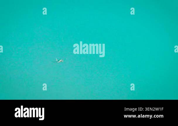 Airplane flying high in clear blue sky during daylight. Passenger ...