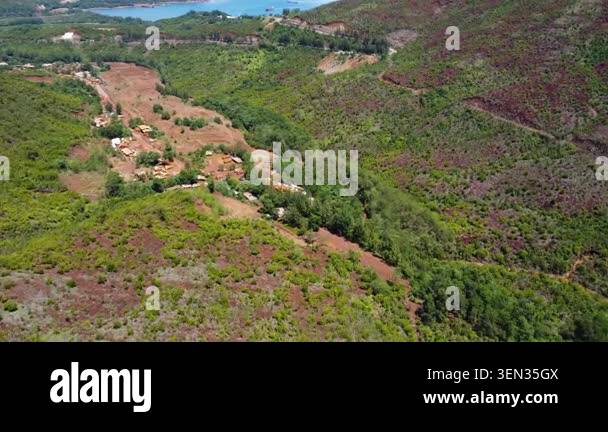 Drone aerial footage of Dahican area in Mindanao, Philippines forest ...