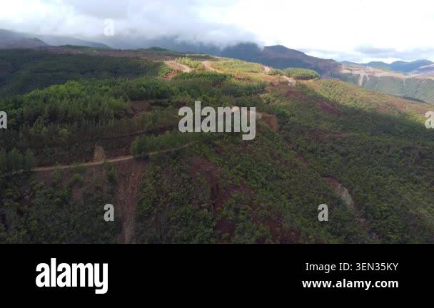 Drone aerial footage of Dahican area in Mindanao, Philippines forest ...