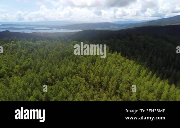 Drone aerial footage of Dahican area in Mindanao, Philippines forest ...