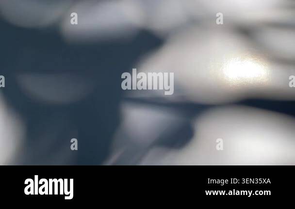 Abstract background on white background with tree shadows and bokeh ...
