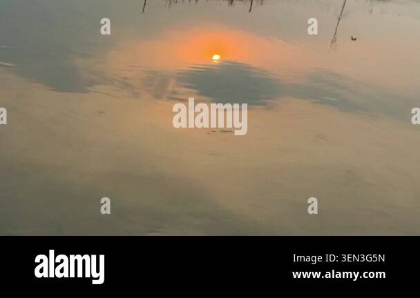 Beautiful golden sunset reflection on calm water surface with ripples ...