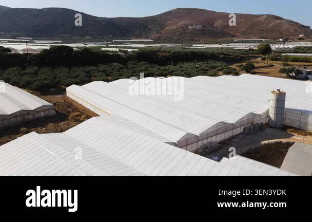 Expansive aerial view of numerous commercial greenhouses covering the ...